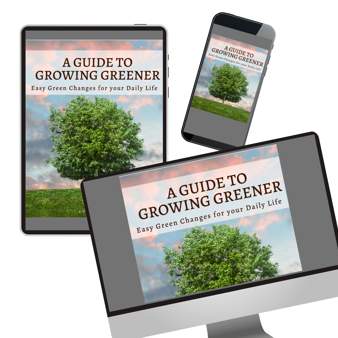 A Guide to Growing Greener – The Greener Gift